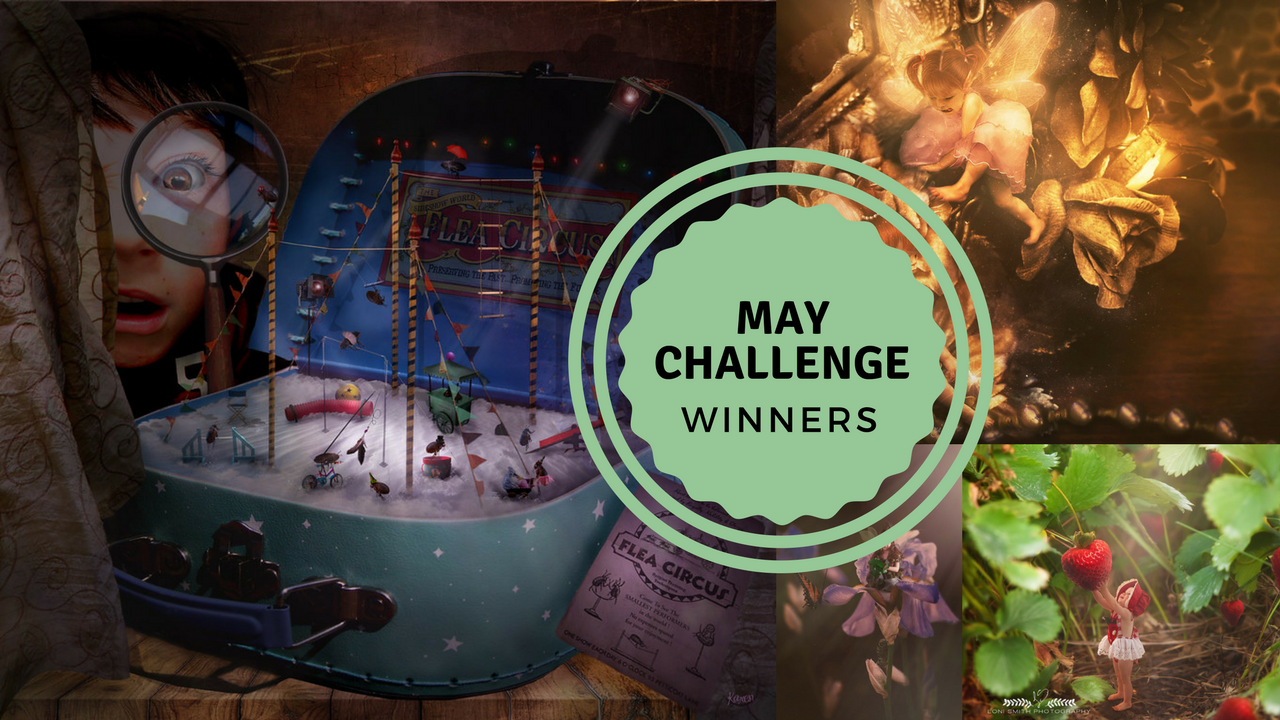 May Challenge Competition - Miniatures - Story Art Education