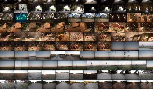 The Best Method to Catalogue your Stock Collection - Story Art Education